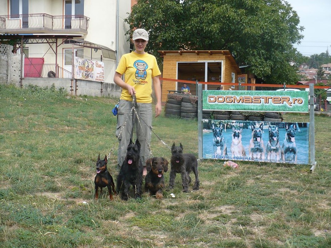 Despre DogMaster - Dog Master